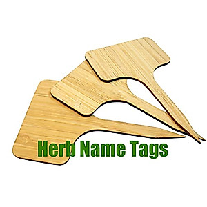 Herb Window Garden Gift Set- Complete windowsill herb Garden Growing kit Including Seeds, pots, Quality herb Clippers, Soil pods All in a Beautiful Planter Box. Hands on Gift Set.