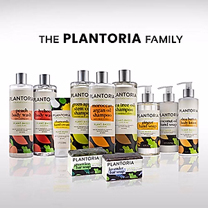 Plantoria Green Apple Stem Cell Shampoo | Plant Based Pure Vegan Organic Hair Growth Shampoo for Women, Men, Teens, Kids | Natural Hair Shampoo With Seaweed, Aloe Vera, Swiss Apple, Tea Tree & More