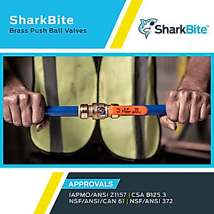 SharkBite 3/4 Inch Thermal Expansions Relief Ball Valve, Push to Connect Brass Plumbing Fitting, PEX Pipe, Copper, CPVC, PE-RT, HDPE, 25704LF