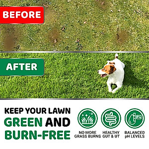 YUMA'S Dog Urine Neutralizer for Lawn - 170 Chews - Advanced Grass Green Savers for Dog Urine - Dog Pee Grass Neutralizer Supplement - Green Lawn Treats for Dogs with Probiotics and Digestive Enzymes