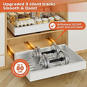 2 Pack Pull Out Cabinet Organizer, 16.5" Deep Expandable(12.6"-20.5") Pull Out Drawers for Cabinets, Heavy Duty Slide Out Drawers for Kitchen Cabinets