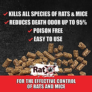 EcoClear Products 620106, RatX Ready-To-Use Pre-Measured 3 oz. Bait Trays, 8-Pack