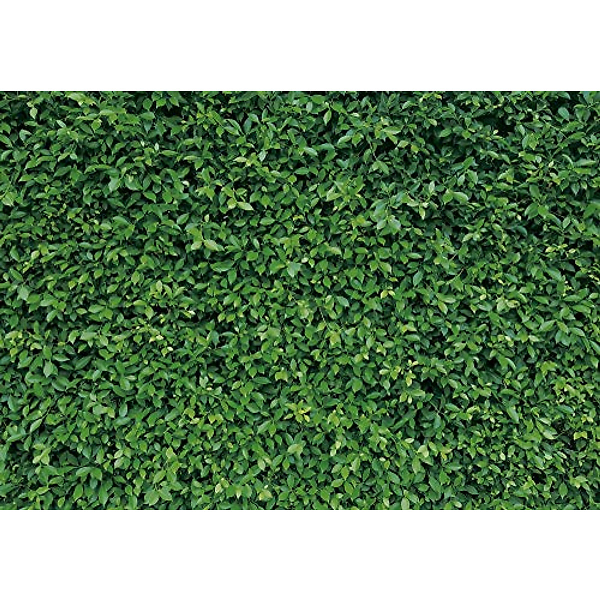 Msocio 7x5.5ft Durable Polyester Fabric Spring Greenery Leaves Grass Nature Photography Backdrop for Birthday Wedding Safari Dinosaur Baby Shower Party Decorations Background Portrait Photo Booth