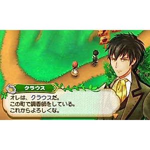 牧場物語 つながる新天地