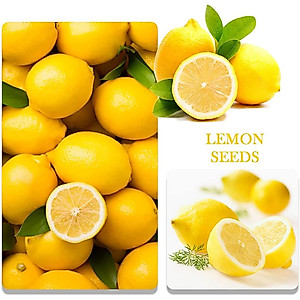 QEVJEKR 200+ Mix Dwarf Bonsai Fruit Tree Seeds for Planting, 4 Variety Individual Packs, 50+ Lemon Tree Seeds 50+ Cherry Tree Seeds 50+ Orange Tree Seeds 50+ Apple Seeds Organic Heirloom Fruit Seeds