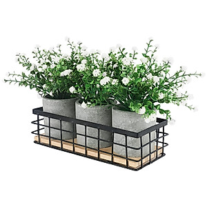 3 Potted Artificial Plants Flowers for Home Decor Indoor, Centerpiece Table Decorations for Dinning Room, Table Centerpiece Decor for Coffee Table Dining Living Room Kitchen Bath, White