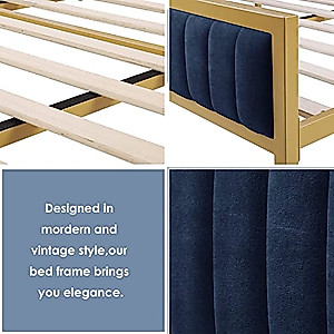 HIFIT Bed Frame Queen Size, Queen Bed Frame with Headboard, Heavy Duty Metal Foundation, Upholstered Bed Frame with Velvet Tufted Headboard, Wood Slat Support, No Box Spring Needed, Gold & Navy Blue
