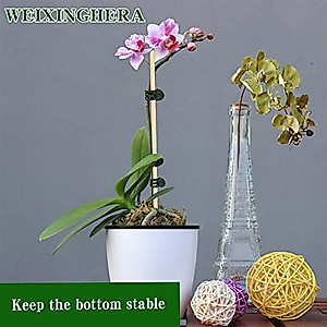 Weixinghera Orchid Clips Plastic Garden Plant Clips Set, 160 Pack Orchid Clips with 20 Pieces Plant Support Stakes 8 Mounting Base 4 Stand
