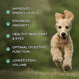 TOP SHELF DOG Chicken Dinner Meal I All Natural Fresh Human Grade Pre Made Dog Food Topper I Mixer, Treat, Additive for Nutrition for Picky Eaters, Puppies, Senior Dogs, Gluten Free (7 x 8oz Pouches)