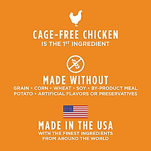 Instinct Raw Boost Gut Health Grain Free Recipe with Real Chicken Natural Dry Dog Food by Nature's Variety, 4 lb. Bag