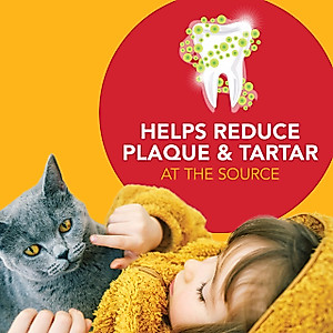Petrodex Dental Care Kit for Cats, Cat Toothbrush and Toothpaste, Cleans Teeth and Fights Bad Breath, Reduces Plaque Tartar Formation, Malt Flavor, 2.5oz Toothpaste + Toothbrush