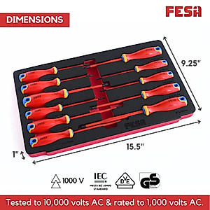 FESA Electrician Insulated Screwdriver Set - 1000V 11-Piece Professional Electrician Screwdriver Set with Magnetic S2 Steel Tips - Pozidriv, Phillips, Flathead or Slotted & Torx - Insulated Tools
