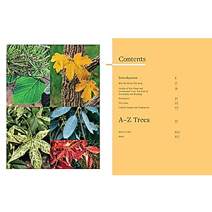 The Tree Book: Superior Selections for Landscapes, Streetscapes, and Gardens