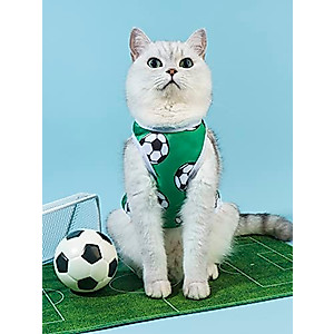 QWINEE World Cup Football Jersey Pet Tank Flag Uniforms Dog Vest Breathable Cat Tee Shirt for Small Medium Large Dog Puppy Kitten Green XS