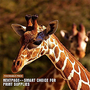 NEXTPAGE 932 933xl Ink Cartridges Replacement for HP 932XL 933XL 932 933 Officejet 6600 6700 6100 7612 7610 7110 Printers, HP 933 Ink Cartridges Combo Pack