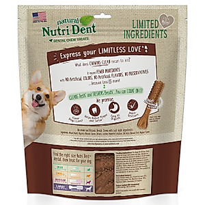 Nylabone Nutri Dent Dog Dental Chews - Natural Dog Teeth Cleaning & Breath Freshener - Dental Treats for Dogs - Filet Mignon Flavor, Large (20 Count)