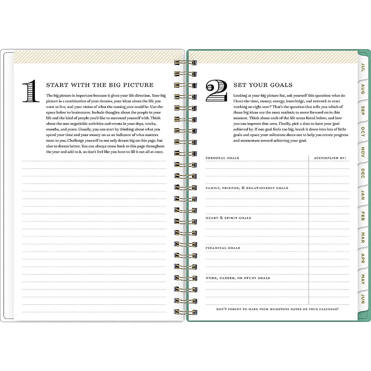 Blue Sky Day Designer for 2023-2024 Academic Year Weekly and Monthly Planner, 5' x 8', Frosted Flexible Cover, Wirebound, Palms (137892-A24)