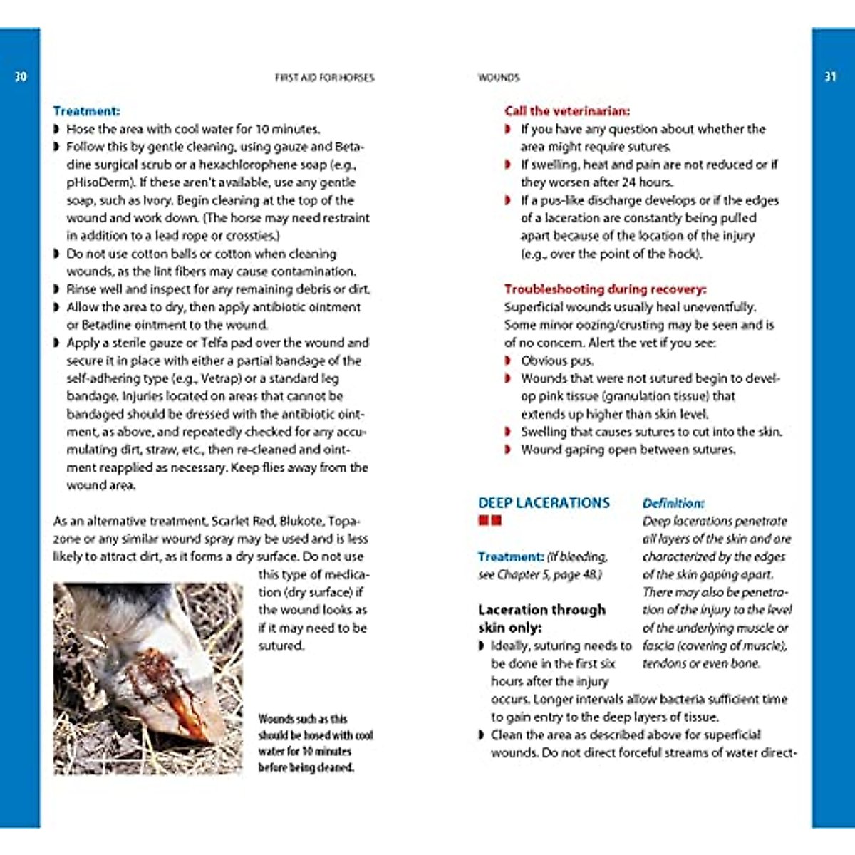 Dr. Kellon's Guide to First Aid for Horses: A Quick and Easy Reference to Conditions That Require Emergency Treatment