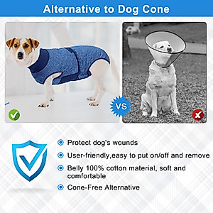 BEAUTYZOO Dog Recovery Suit Female After Surgery Spay, Soft Dog Surgery Suit E-Collar & Cone Alternative, Male Dog Neuter Surgical Onesies,Anti Licking Wounds Dog Bodysuit, Post-Operative Vest Clothes