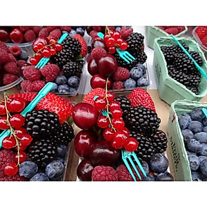 DSC-QX 10 B DSCQX10B.CE7 - Sony Cyber-Shot - International Version (No Warranty)