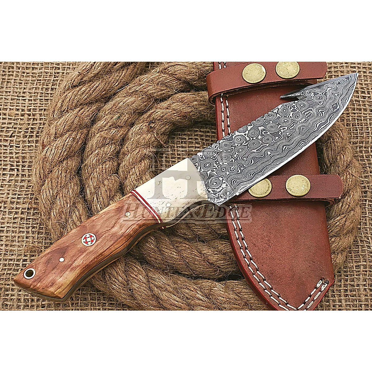 HUNTEX Handmade Hand-Forged Rain Drop Pattern Damascus Steel 9.5 Inch Long Full Tang Olive Wood Handle Razor Sharp Hunting Camping Gut Hook Knife w/Genuine Leather Pouch