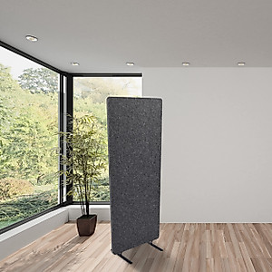 Stand Up Desk Store ReFocus Raw Freestanding Acoustic Desk Divider Privacy Panel to Reduce Noise and Visual Distractions (Anthracite Gray, 23.6" x 62")