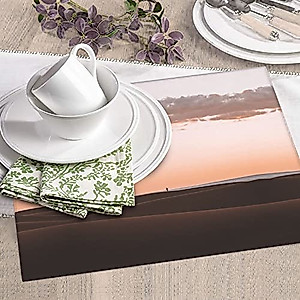 Lonely shadow on the desert Printed Drying Mat For Kitchen Ultra Absorbent Microfiber Dishes Drainer Mats Non-Slip Silicone Quick Dry Pad - 18 X 16inch