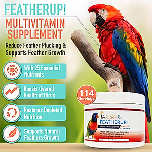 UnRuffledRx FeatherUp! Bird Vitamins with Biotin for Beautiful Plumage - Feather Growth Supplements for Parrots - 90 gm - 240 Servings