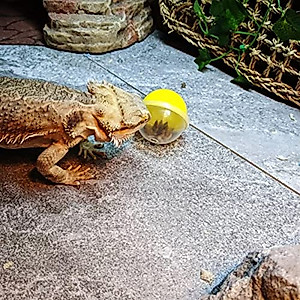 CooShou 6Pcs Lizard Bearded Dragon Feeding Toys Ball Reptile Food Toys Ball Lizard Interactive Toys for Bearded Dragon, Lizard, Gecko and Small Animals