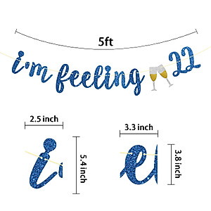 Dill-Dall I'm Feeling 22 Banner, 22nd Birthday Banner, 22nd Birthday Decorations, 22nd Birthday Backdrops ( Royal Blue )