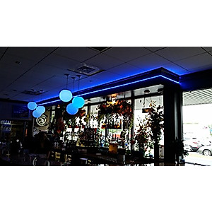 12V Magnitude 300W Multi-Output Class 2 LED Driver T300L12DC - Inspired LED