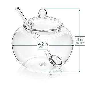 Teabloom Stain-free & Odor-free Borosilicate Glass Sugar and Creamer Set - Tea or Coffee Serving Set Includes Cream Pitcher, Sugar Bowl with Lid and Spoon (Serves up to 3-4 People)