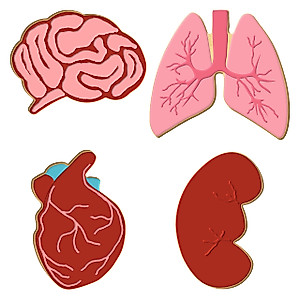 Anatomical Body Parts Cookie Cutter 4 Pc Set – Kidney, Heart, Lungs, Brain Plastic Cookie Cutters, Made in USA