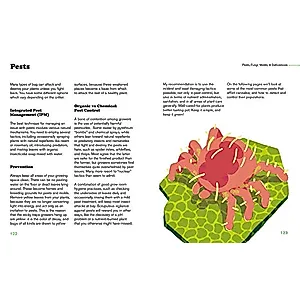 Cannabis: A Beginner's Guide to Growing Marijuana