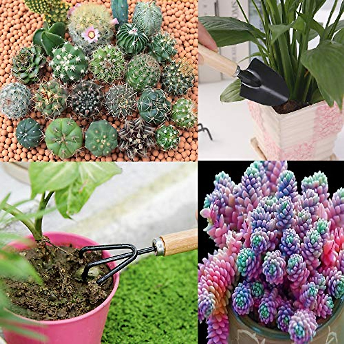 Diligent Farmer Mini Garden Tool Set, 3 Piece Hand Suit Small Shovel/Rake/Spade Ideal for Men and Women