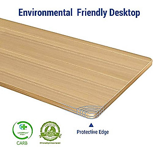 FLEXISPOT EC1 Height Adjustable Desk 55 x 28 inch Electric Standing Desk Whole-Piece Desk Board Stand Up Desk for Home Office (Gray Frame + 55" Natural Top)