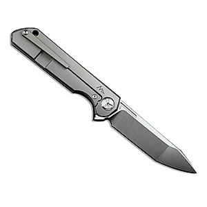 Twosun TS49 Gentleman Folding Pocket Knife with Clip,D2 Stainless steel Blade,Ball Bearing Washer Carbon fiber Titanium Handle