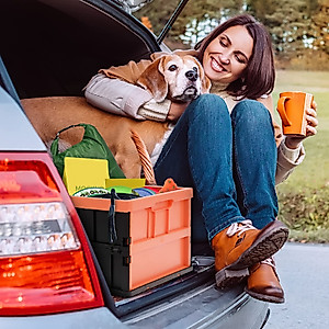 Brehvoe Collapsible Storage Bins 62L, Collapsible Crates for Storage Crates for Car Moving Turnover Outdoor 16Gal with Solid Wall No Lid,2Pack