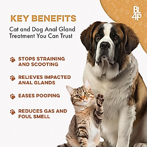 Scoot Stopper and Anal Gland Support for Dogs and Cats - 100% Natural Relief for Dog and Cat Constipation, Rectal Prolapse, Itching, Inflammation, Bum Scooting and Difficult Pooping - 400 Small Pills