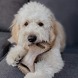 Benebone Medium Holiday 4-Pack Dog Chew Toys for Aggressive Chewers Dental Durable Dog Chew Toy for Aggressive Chewers, Real Bacon