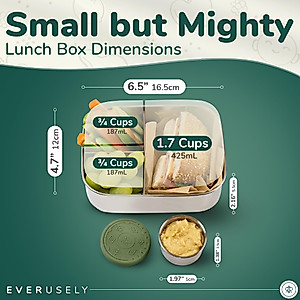 Everusely Small Stainless Steel Bento Box Kids - 27 oz Toddler Lunch Box Stainless Steel, Metal Lunch Box for Kids, Metal Lunch Container, Stainless Steel Lunch Box For Kids, Bento Box Stainless Steel