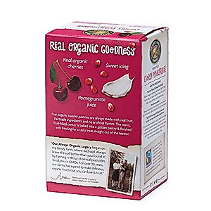 Nature's Path Organic Frosted Cherry Pomegranate Toaster Pastries, 11 Ounce (Pack of 1) Non-GMO, Made with Real Fruit