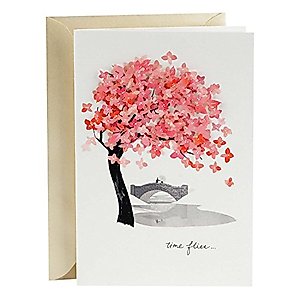 Hallmark Signature Love Card, Time Flies (Romantic Anniversary Card, Birthday Card, Sweetest Day Card)