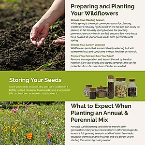 Eden Brothers Georgia Wildflower Mixed Seeds for Planting, 1/4 lb, 120,000+ Seeds with Cornflower, Cosmos, African Daisy | Attracts Pollinators, Plant in Spring or Fall, Zones 3, 4, 5, 6, 7, 8, 9, 10