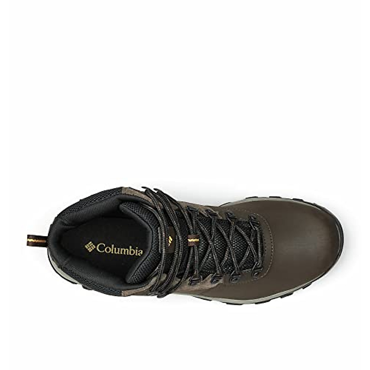 Columbia mens Newton Ridge Plus Ii Waterproof Hiking Boot, Cordovan/Squash, 8.5 US