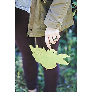 Qalo Women’s Classic Silicone Wedding Ring