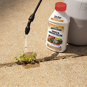 Spectracide Weed And Grass Killer Concentrate 16 Ounces, Use On Patios, Walkways And Driveways