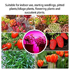 Mosthink LED Grow Light for Indoor Plants, 20W Grow Light Strips with Auto On/Off Timer, 48 LEDs /4 Dimmable Levels, Plant Light Bars for Succulents, Seedlings,Indoor Greenhouse,Plant Shelf