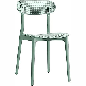 ISL Furnishings- Zuho Modern Indoor Outdoor Chair (2, Smoked Green)