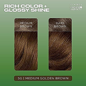 Clairol Natural Instincts Demi-Permanent Hair Dye, 5G Medium Golden Brown Hair Color, Pack of 1